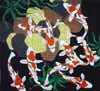 DCM-16 - Koi