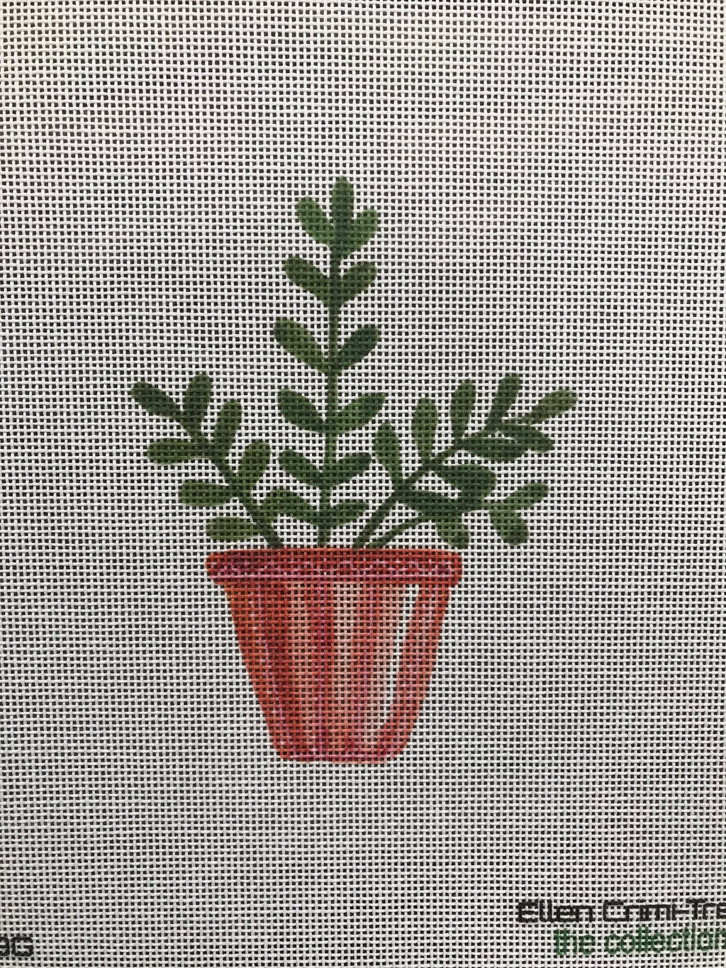 ECT479G - Cactus Short Pot